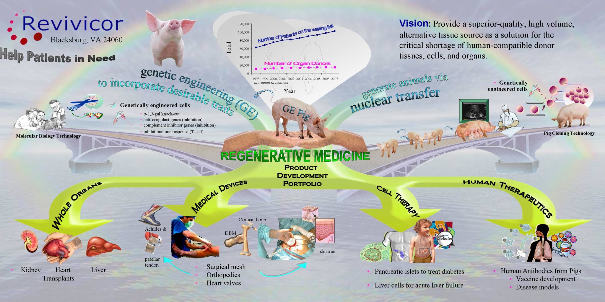 FDA Approves Genetic Alteration Of Pigs For Both Human Food, Potential ...